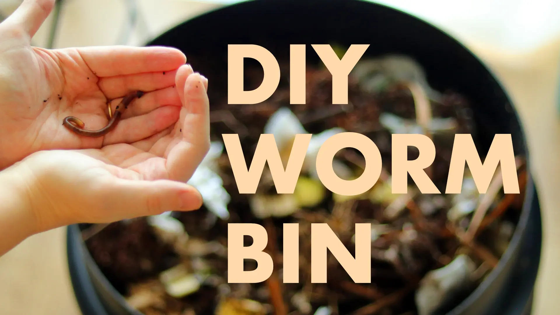 A Comprehensive Guide to a Homemade Worm Bin